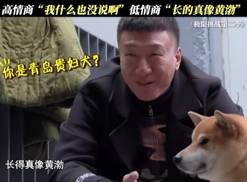 简直长得一模一样