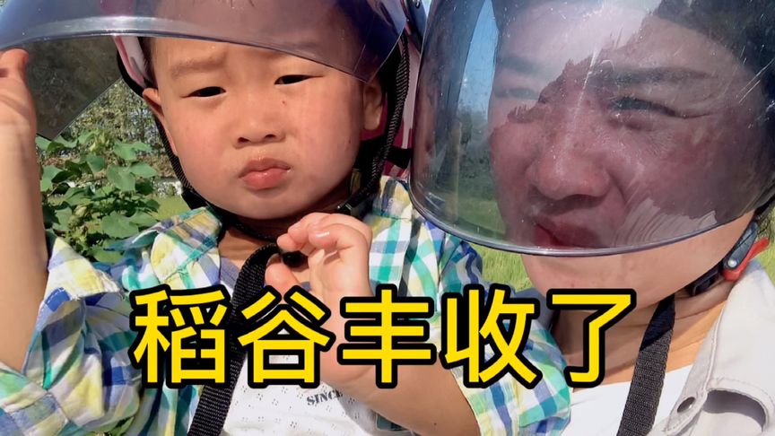 大丰收:禾苗经历120天的生长,亩产达2000多斤稻谷,爸妈笑了!