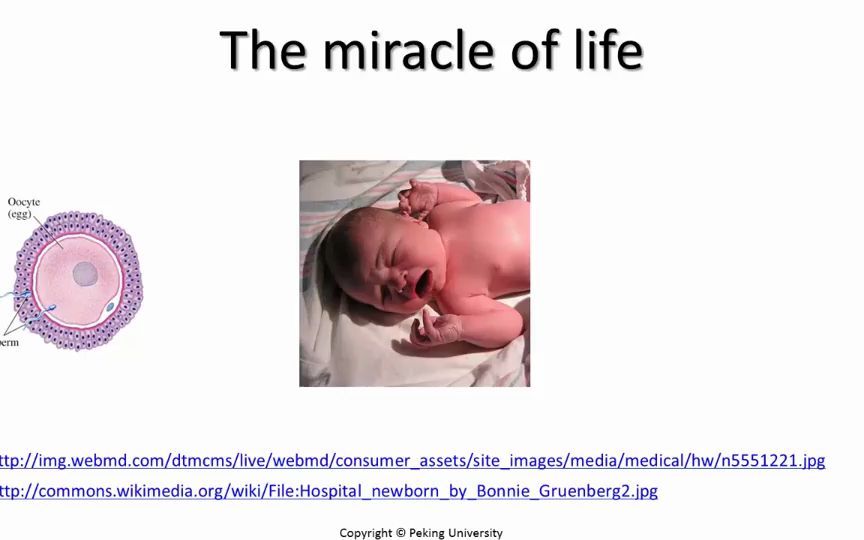 1 - 3 - 1-1-1 What is bioinformatics (english version) 什么是生物信息学(...