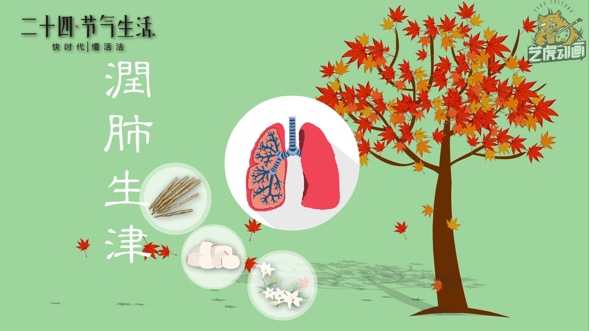 立秋知识科普动画-上海艺虎动画设计