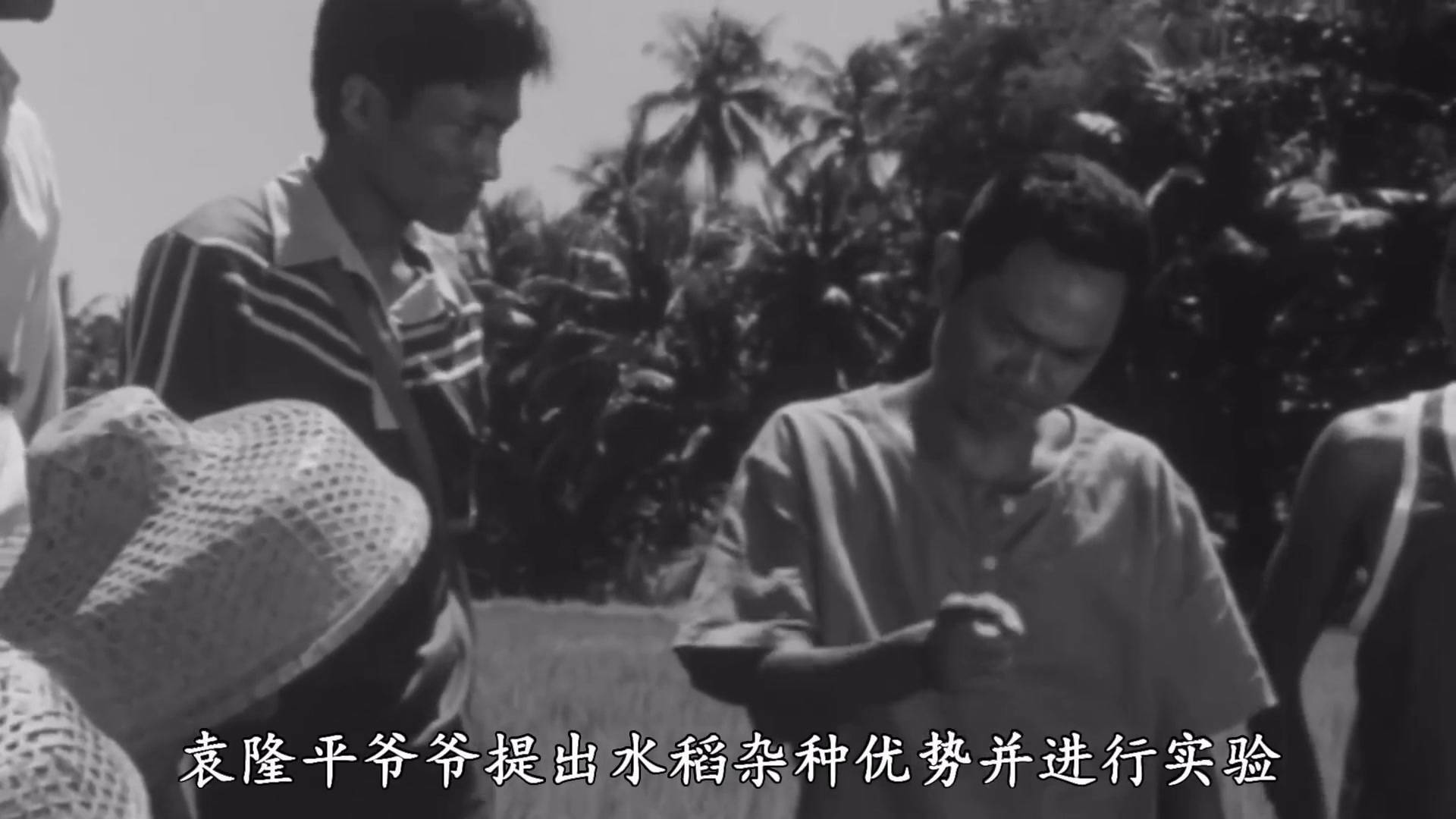 袁隆平的杂交水稻究竟有多牛?