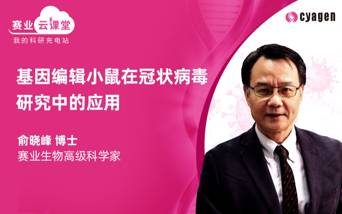基因编辑小鼠在冠状病毒研究中的应用