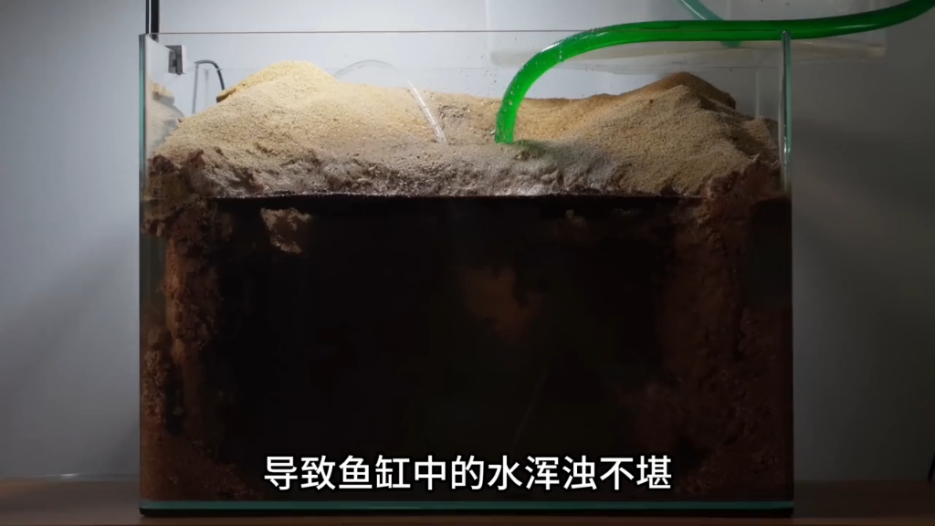 上帝模拟器 用鱼缸打造一个河流生态系统