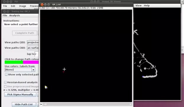 imageJ课程:3D Interaction in Simple Neurite Tracer