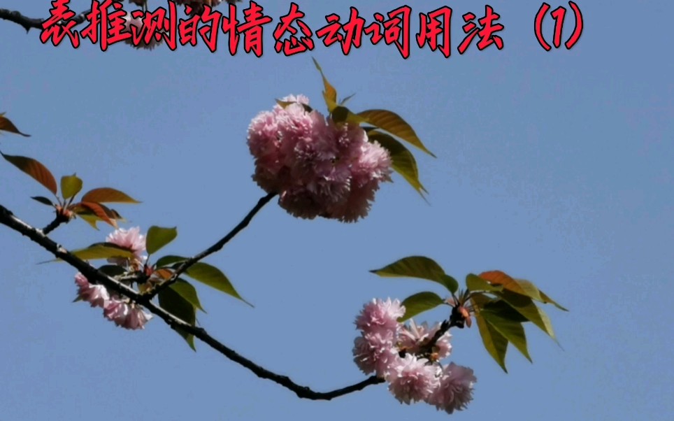 表推测的情态动词用法(1)