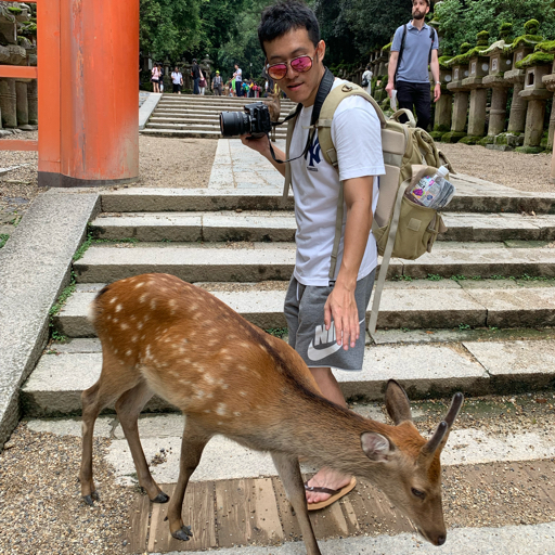 世界的侧面 
