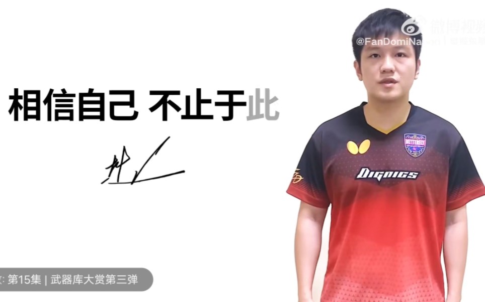 乒乓球拍蝴蝶代言人樊振东