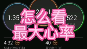佳明运动手表怎么看最大心率?