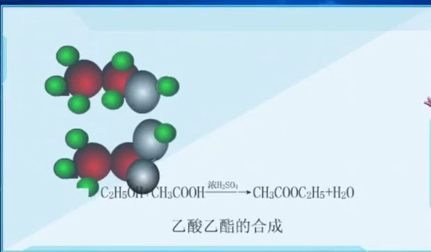 乙酸乙酯的合成动画