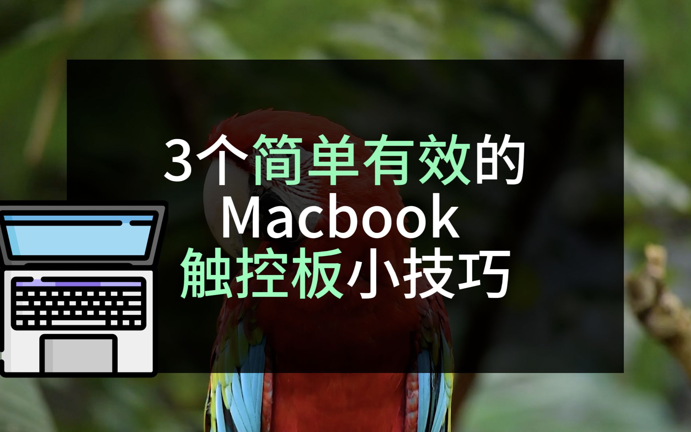 懂这些 Macbook 触控小技巧,然你工作效率大大提升
