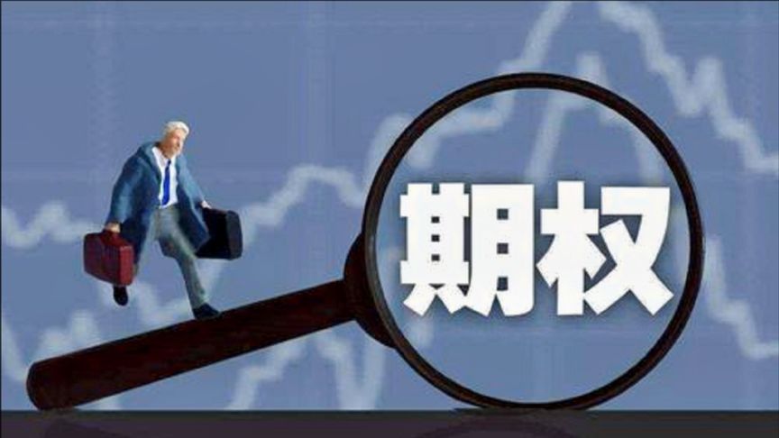 5.期权的价格-无忧版