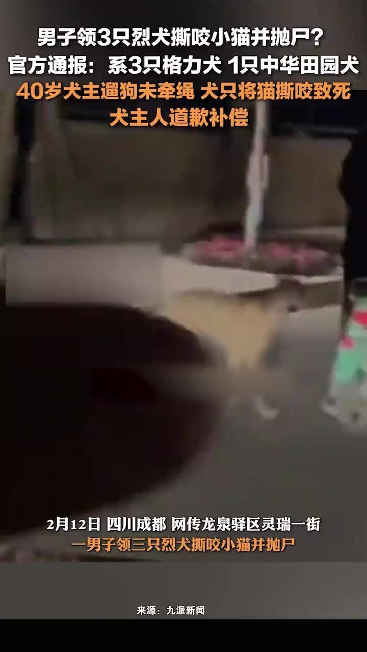 官方通报男子领四只狗撕咬小猫并抛尸:系三只格力犬 一只中华田园犬,...