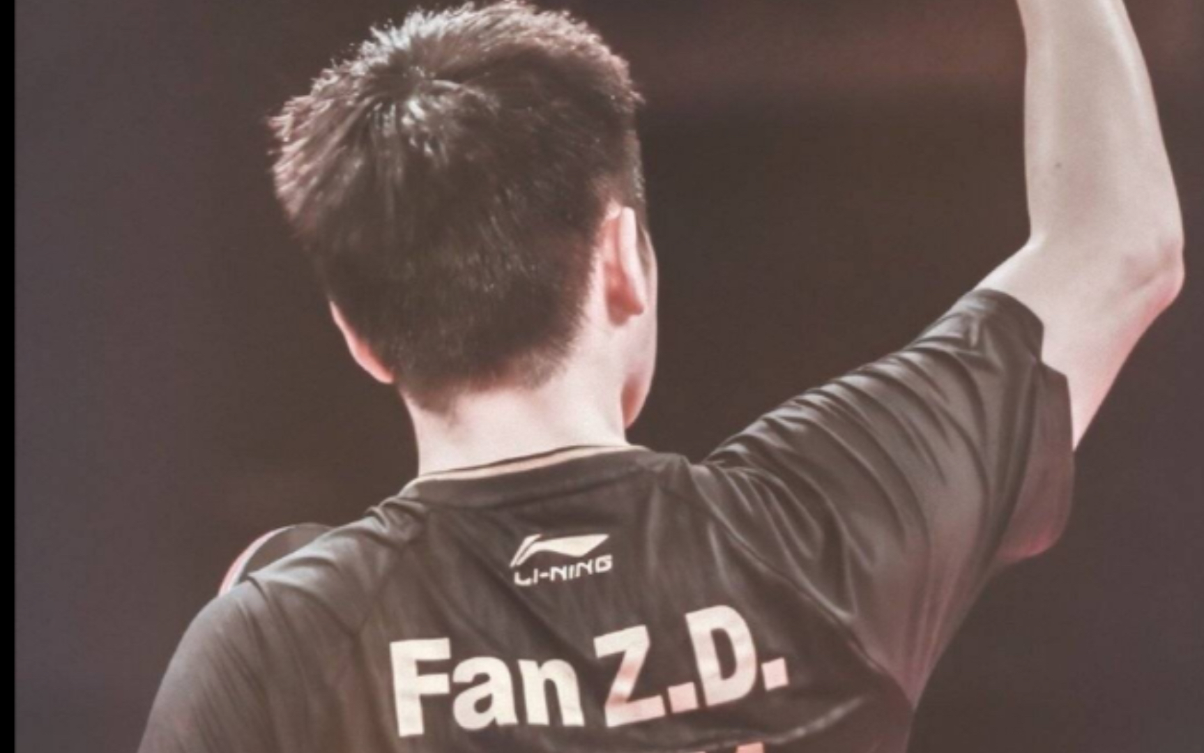 樊振东|备战东京奥运专访第一集——精益求精(自制字幕)