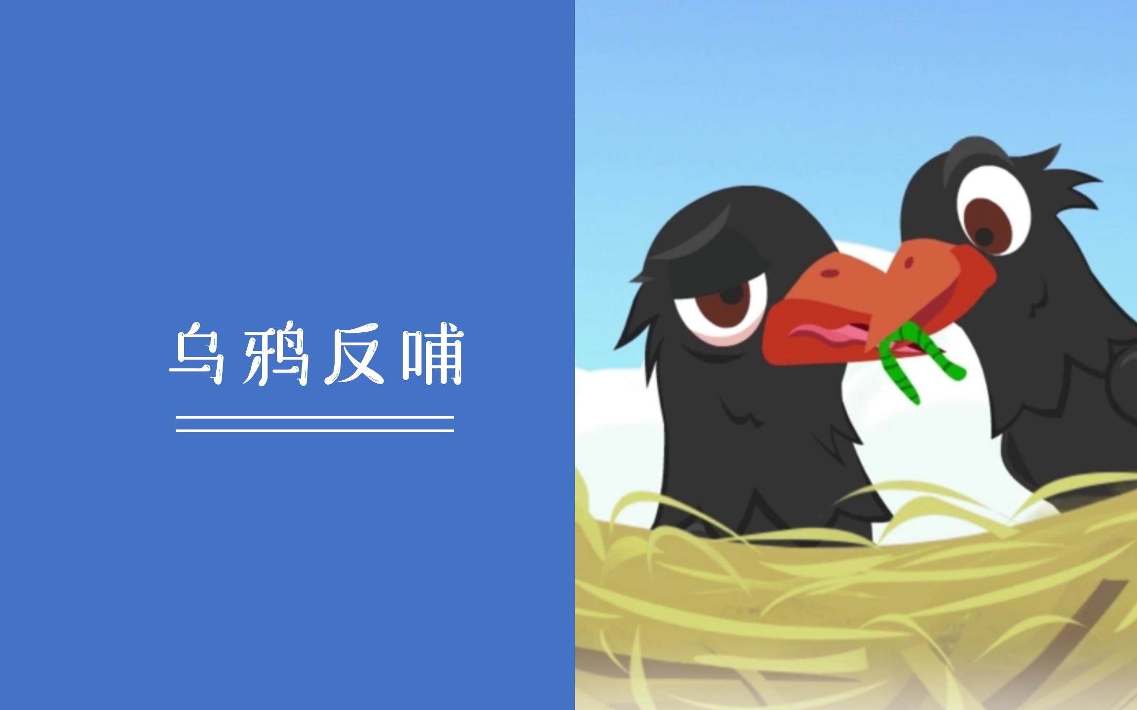 【成语故事动画】乌鸦反哺