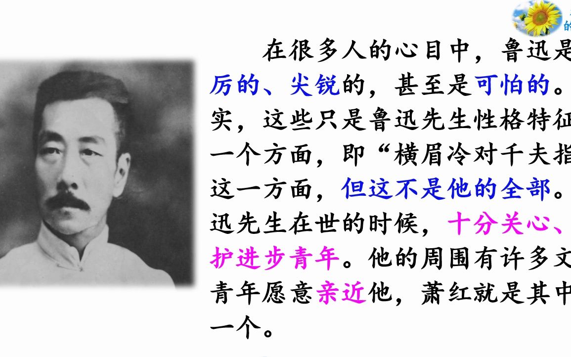 七年级下册第3课回忆鲁迅先生(节选)第一课时