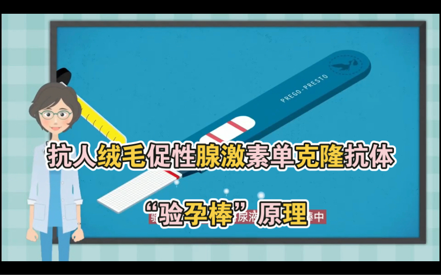 【选择性必修三】抗人绒毛促性腺激素单克隆抗体的应用-验孕试剂盒...