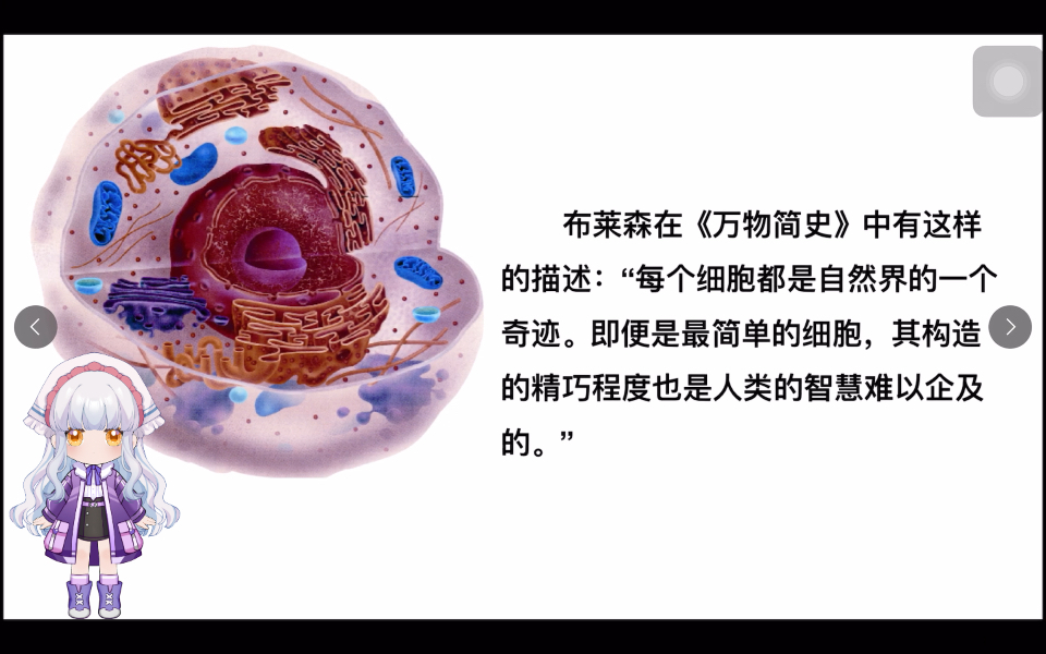 高中生物学 必修1 第3章第1节细胞膜的结构和功能