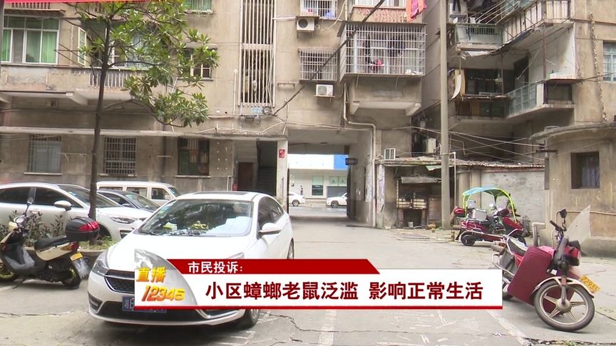 直播12345:市民投诉:小区蟑螂老鼠泛滥 影响正常生活