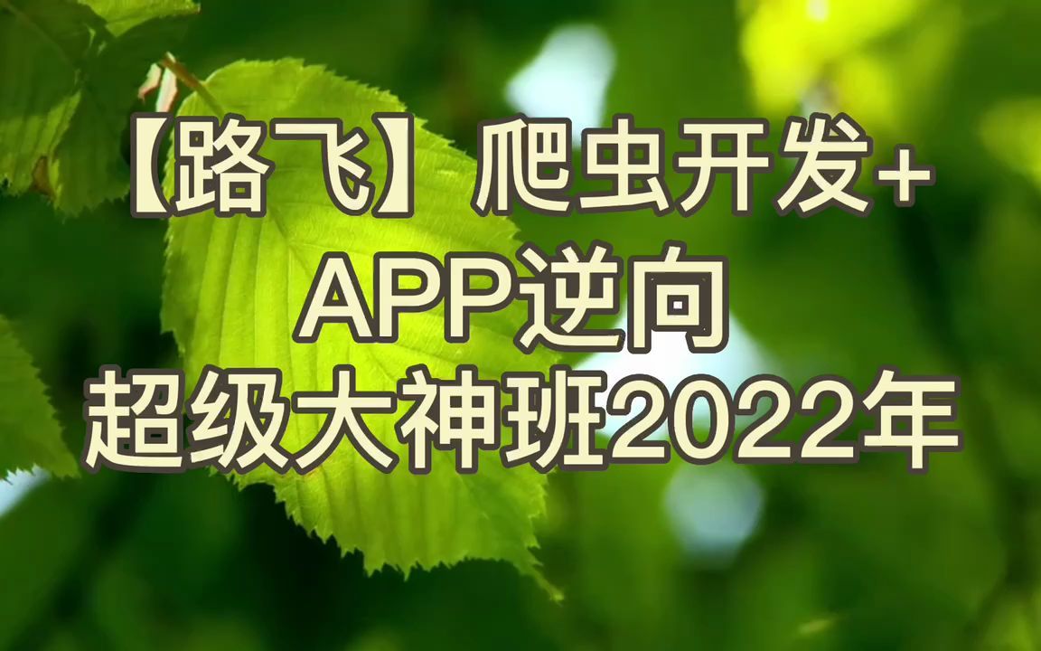 【路飞】爬虫开发+app逆向超级大神班教学2022年新