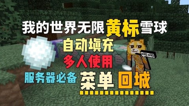 我的世界指令教学:无限自动填充黄标雪球