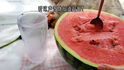 QQ糖做的精灵球,有了它,你想召唤哪个小精灵呢?