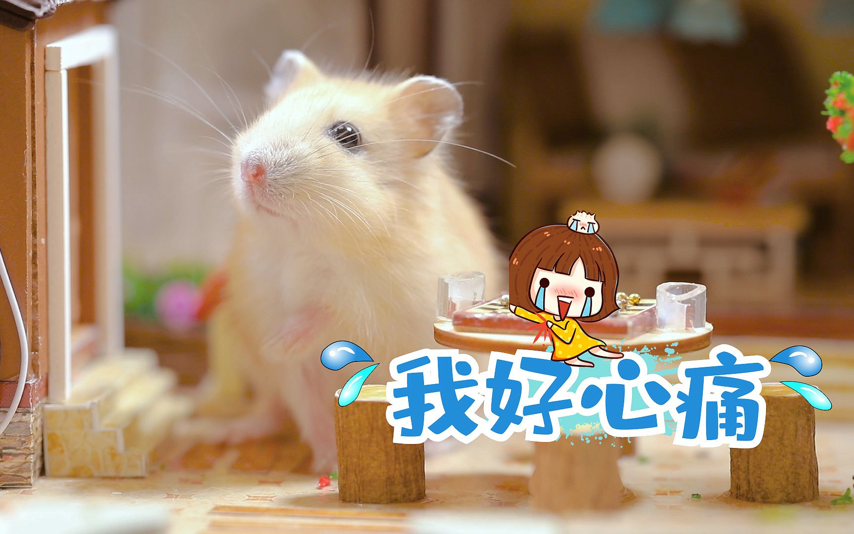 仓鼠5万炒股钱生钱,结果只生了500,500元他妈妈不幸“难产”死了