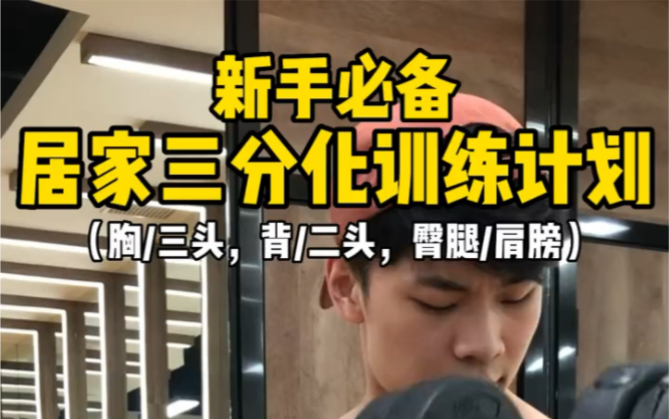 新手必备,居家健身三分化训练计划