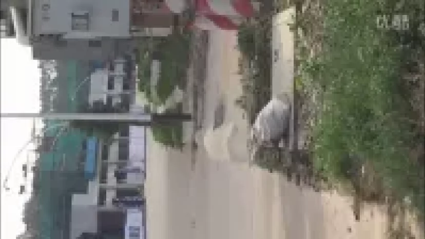 无线话筒与天放系统距离测试