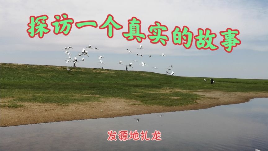 探访歌曲《一个真实的故事》发源地扎龙自然保护区;徐秀娟烈士。