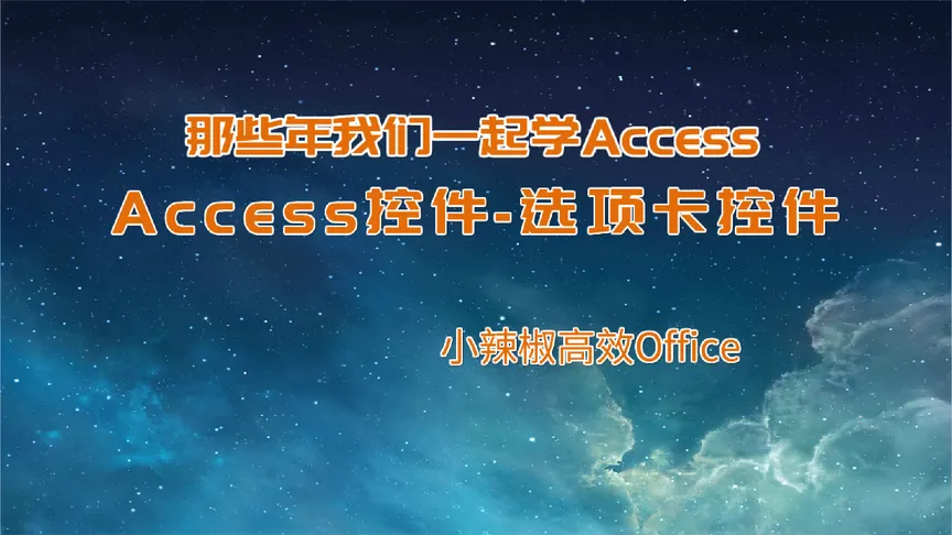 Access选项卡控件-让你的数据分门别类