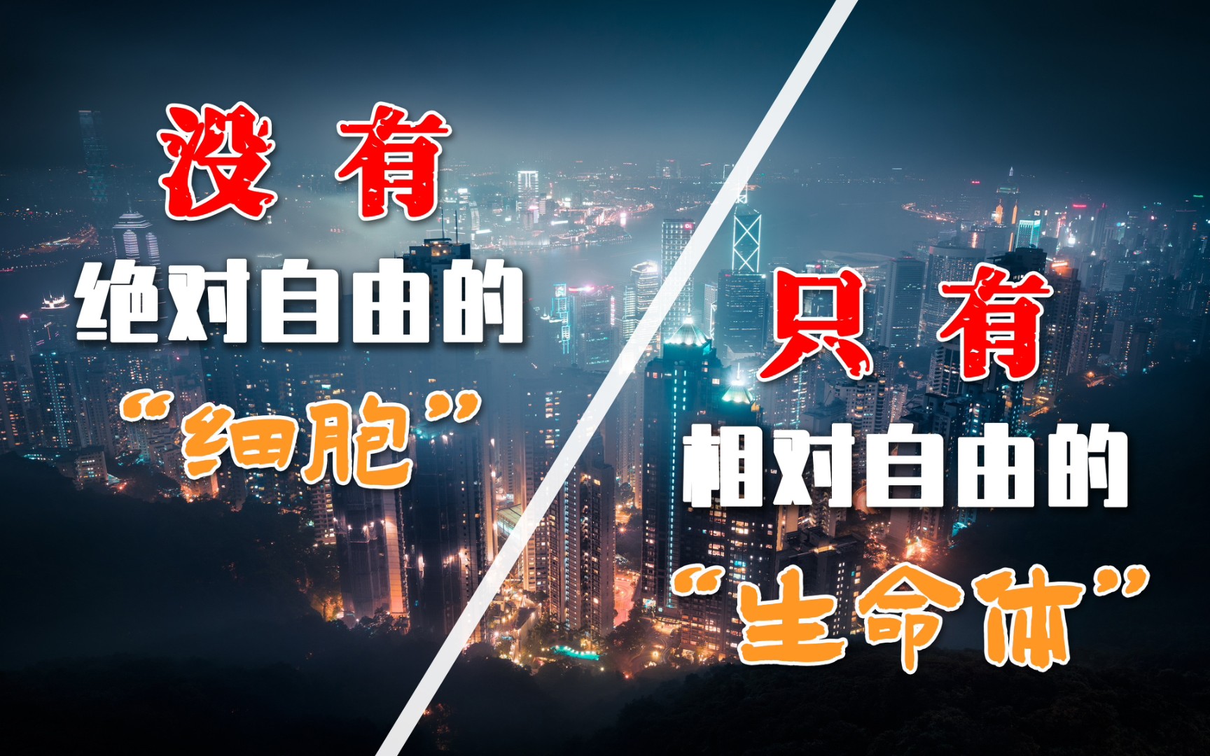 【森哥】谈谈社会整体与我们个人的关系