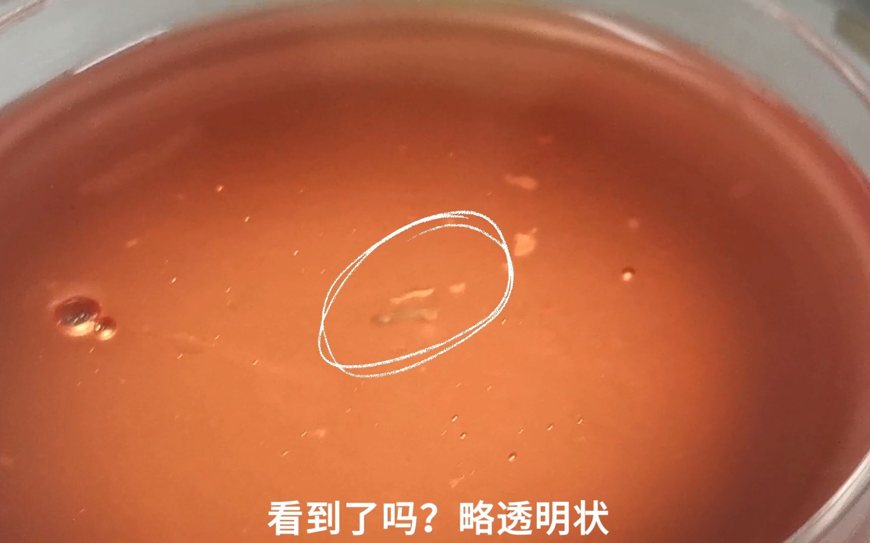 惊叹!我看到了自己的卵!都说肉眼看不到卵,在胚胎学家的帮助下,我看到...