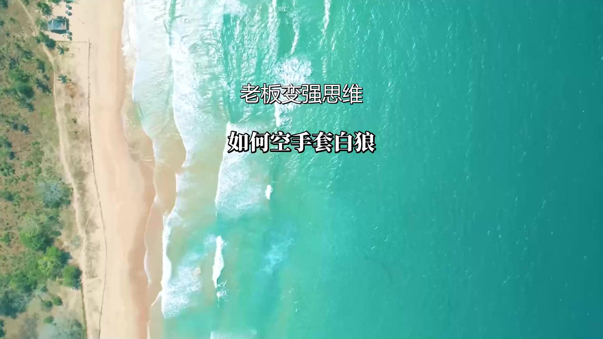 如何空手套白狼,一年狂赚4800万?#商业思维 #商业模式 #老板思维 #...