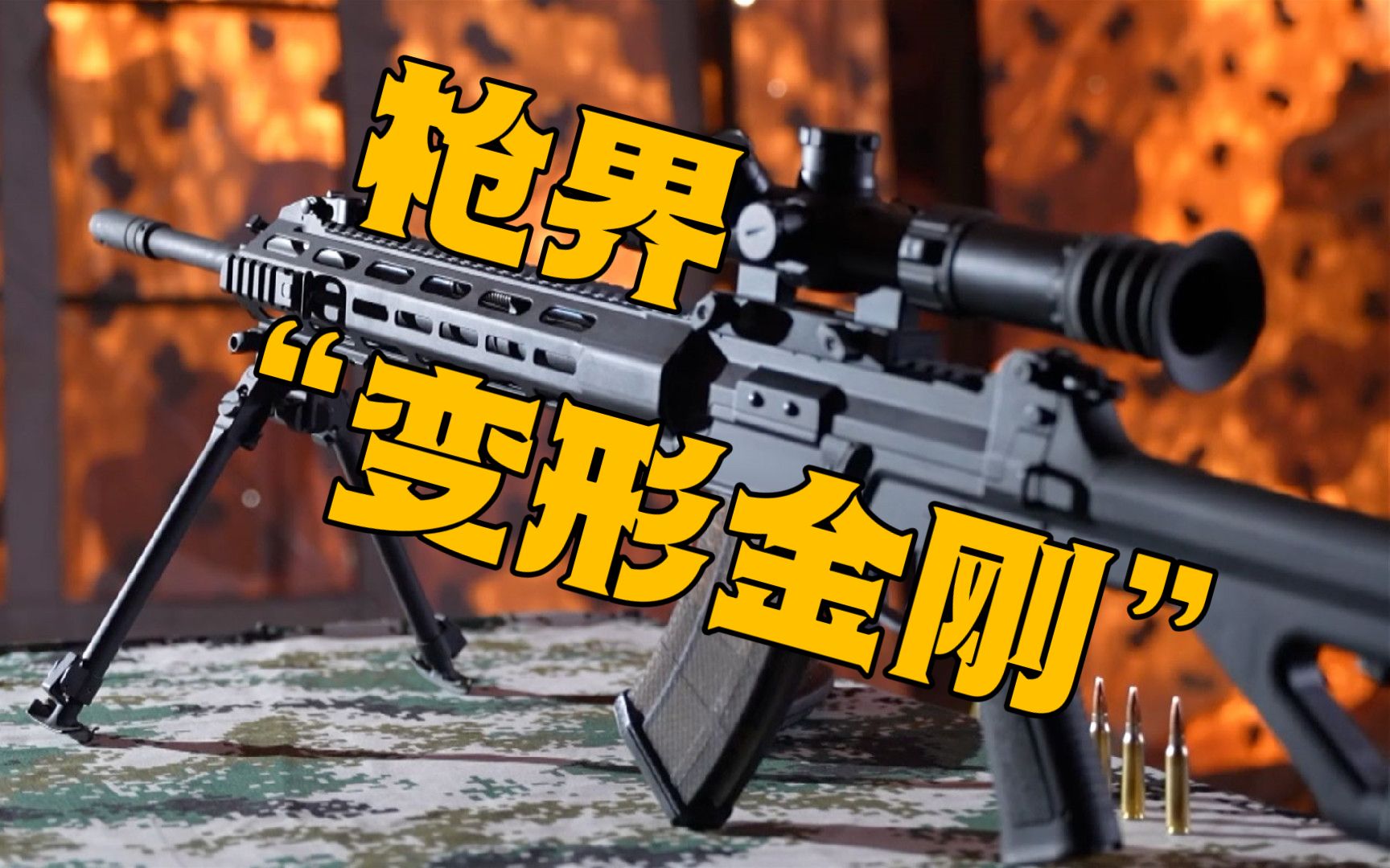 枪界“变形金刚”!国产191精准步枪到底多先进?