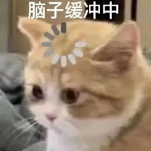脆柿子lim 