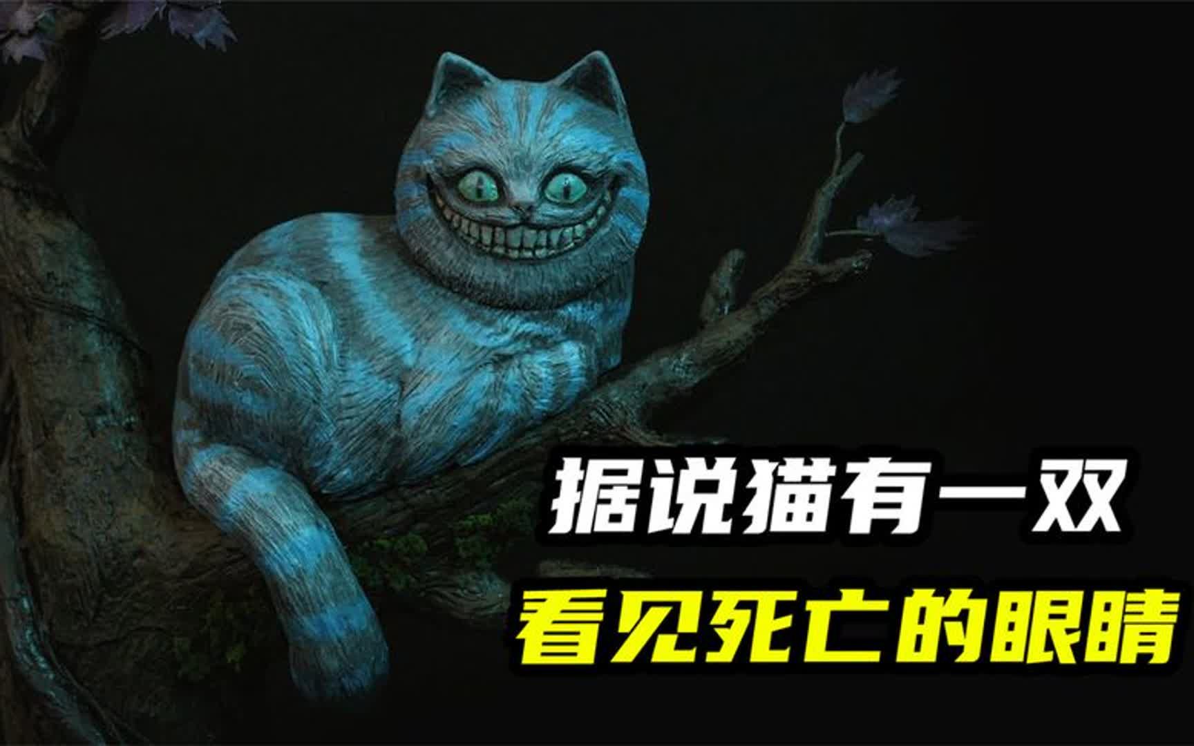 模型制作:据说猫咪的眼睛能看见死亡,那你可得小心了!