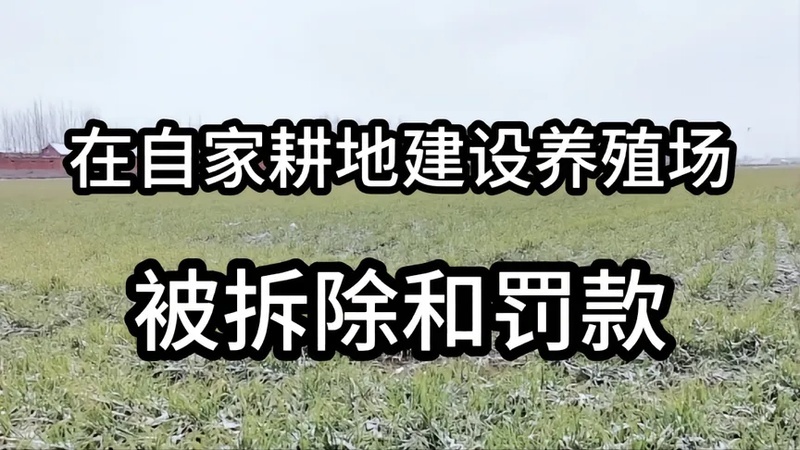 农民在自家耕地上建养殖场,被拆除和罚款,真是太大意了!