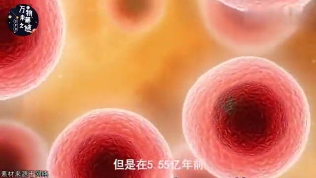 半分钟看完地球的生命进化史