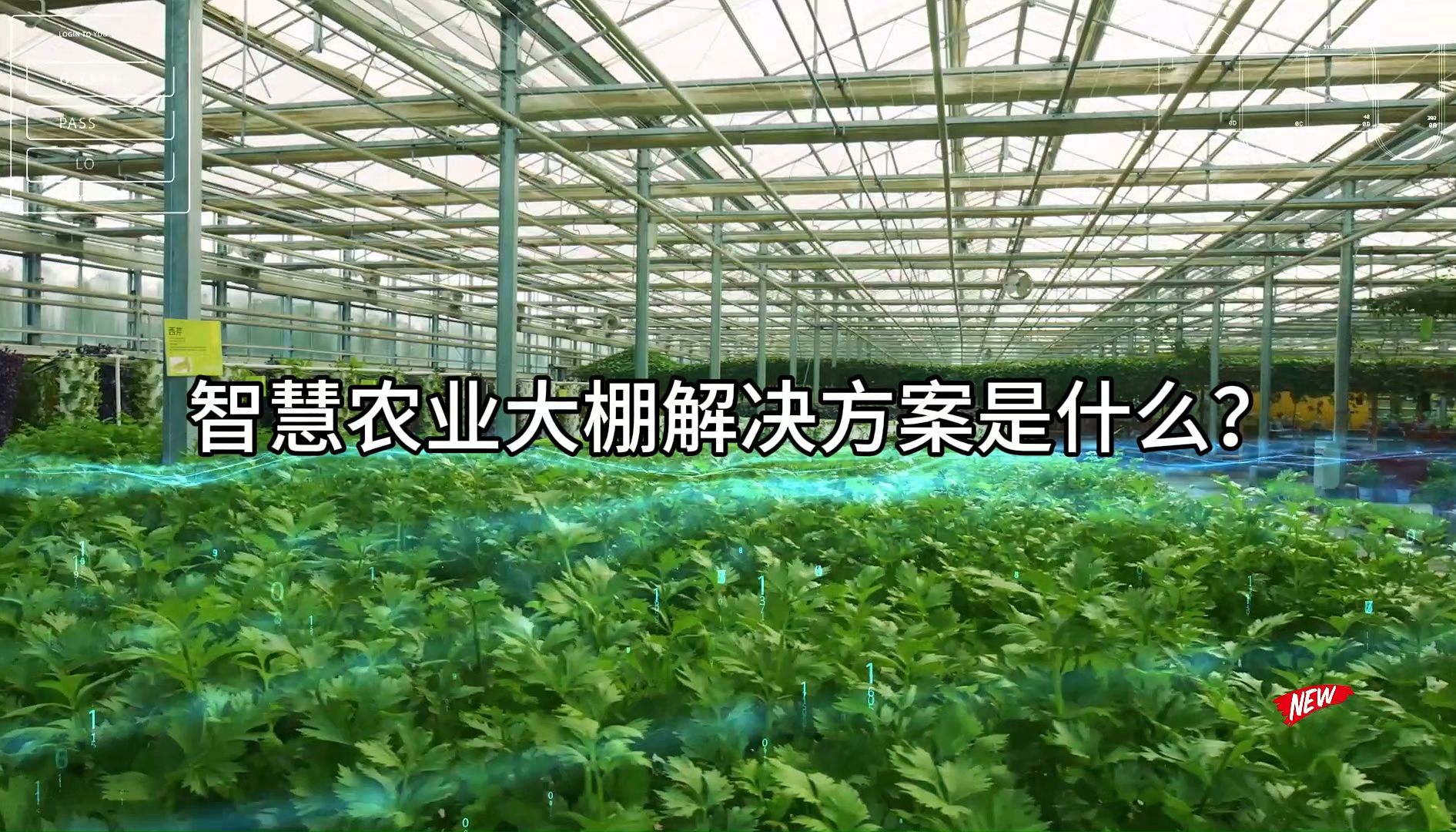 智慧农业大棚解决方案-元丰科技|智慧农业大棚解决方案是什么?