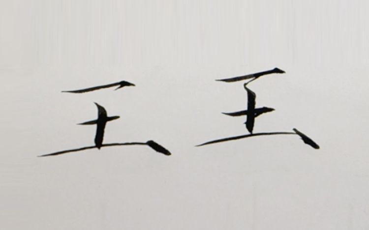 【瘦金体】写2个“王”字,示范书法中的笔顺原则“先上后下”