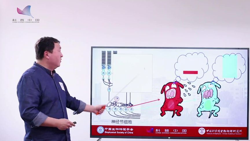 物中生有-我们的大脑如何“看”世界?
