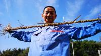 农村用稻草绳来捆稻谷才最实用和环保, 你见过这样编草绳嘛?