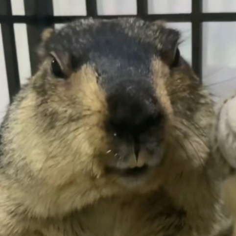 事TBS不事坦白说 