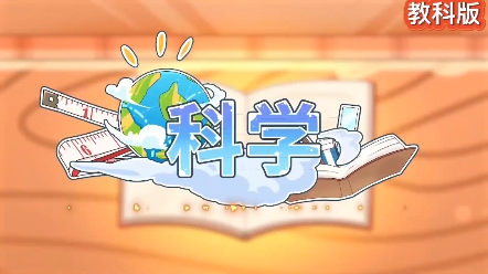 一上科学|趣味动画版《我们知道的植物》