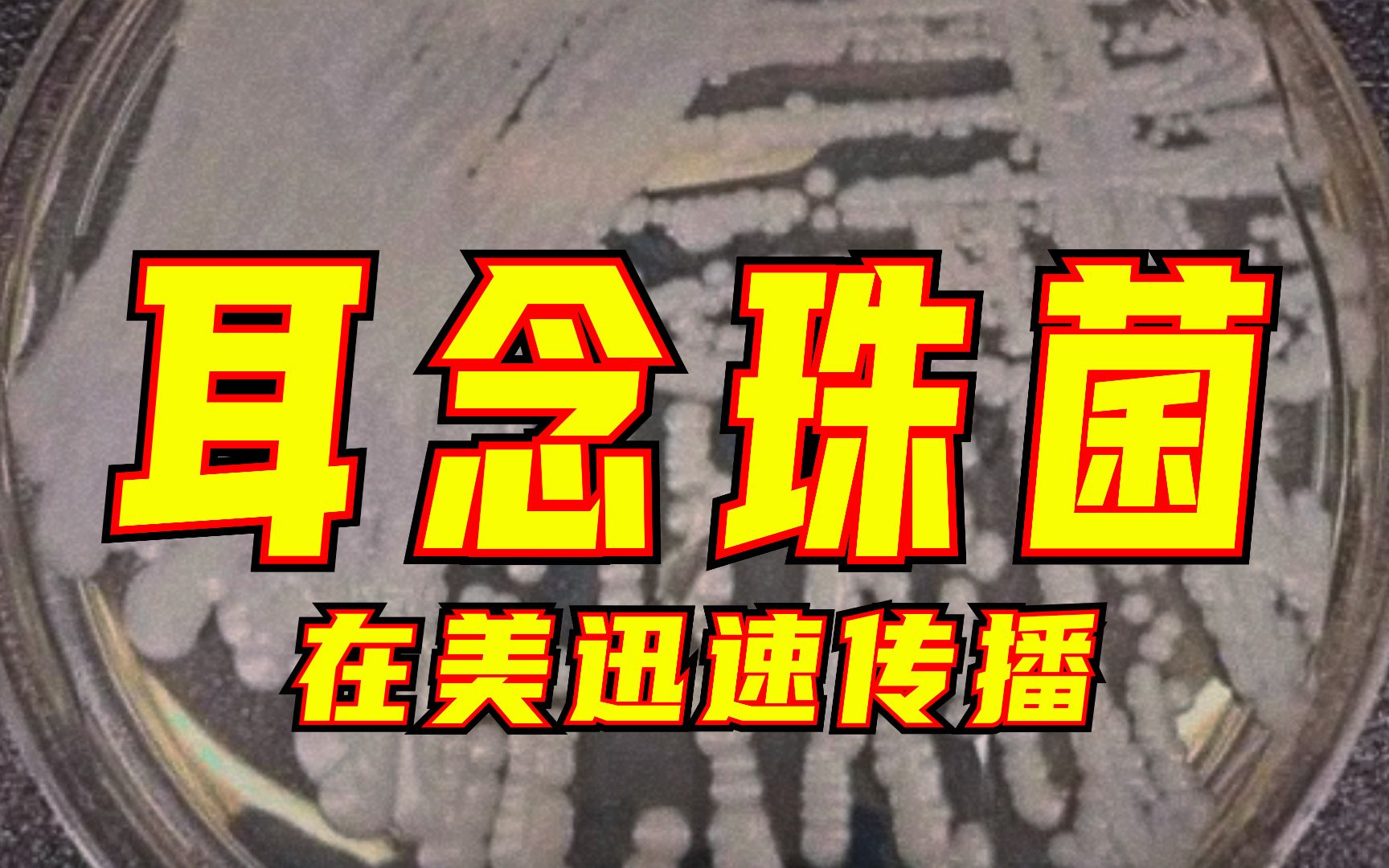 美疾控中心:“超级真菌”耳念珠菌蔓延,超半数州报告确诊病例
