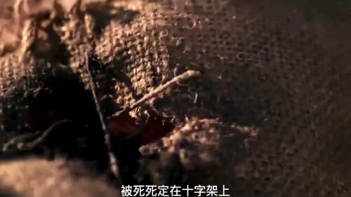 你见过真人版的稻草人吗?看看真人版的稻草人是怎么制作的!