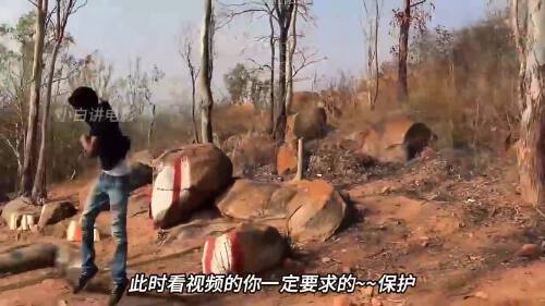 震惊!男子意外穿越游戏世界,真实体验虚拟人生!