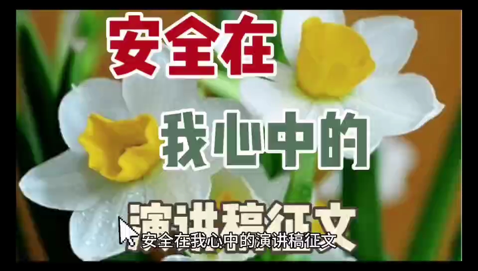 安全在我心中演讲稿征文