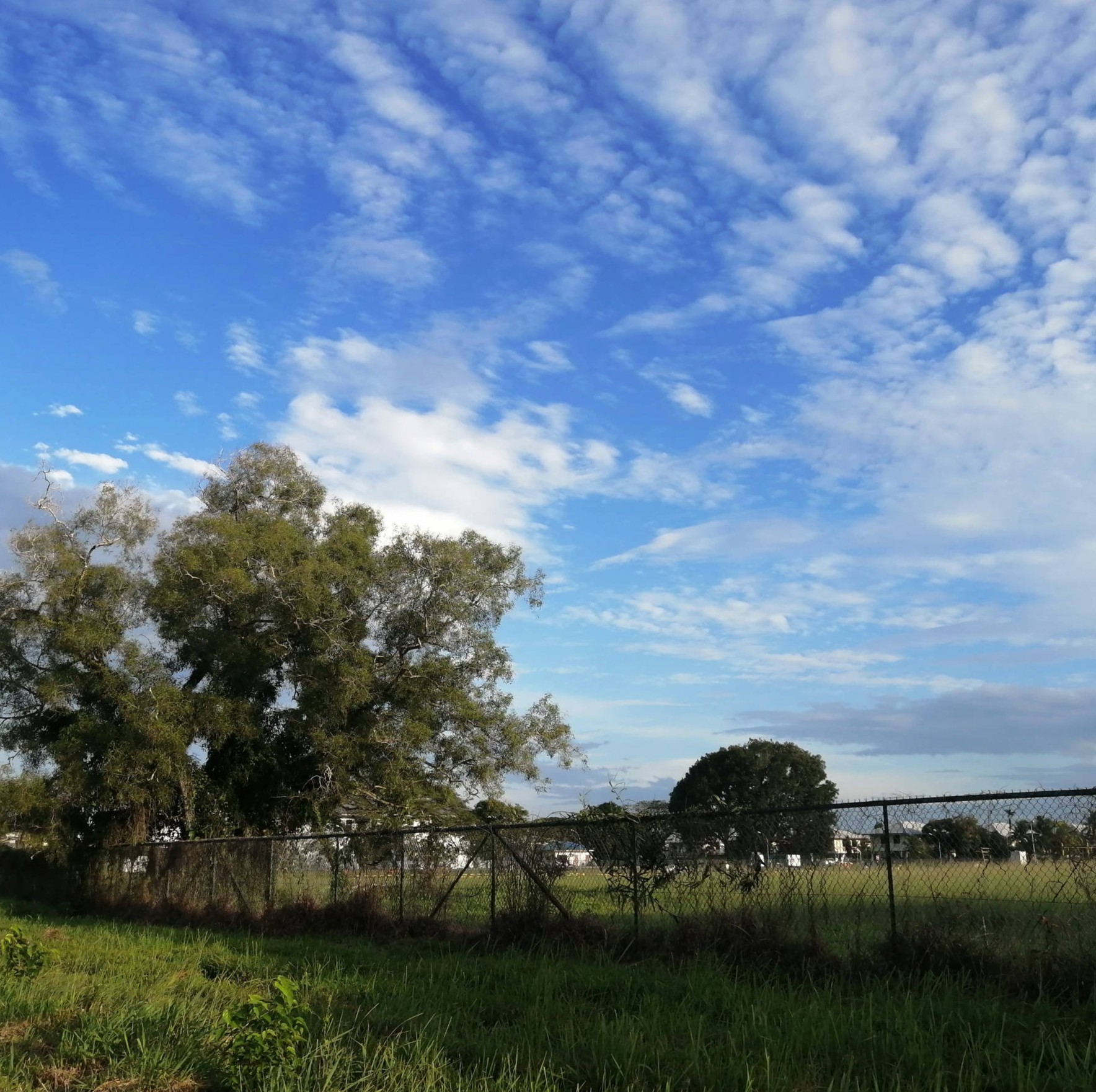 我们都变成了昨天 