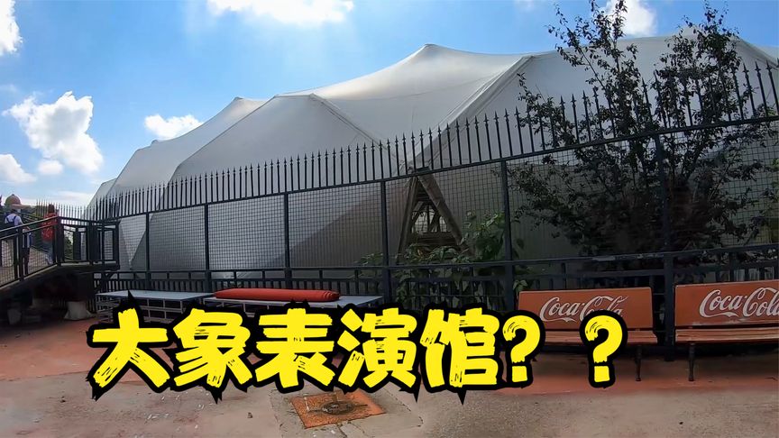 大连森林动物园 惠民半价游(四)寻找大象表演馆 十一游玩看指南